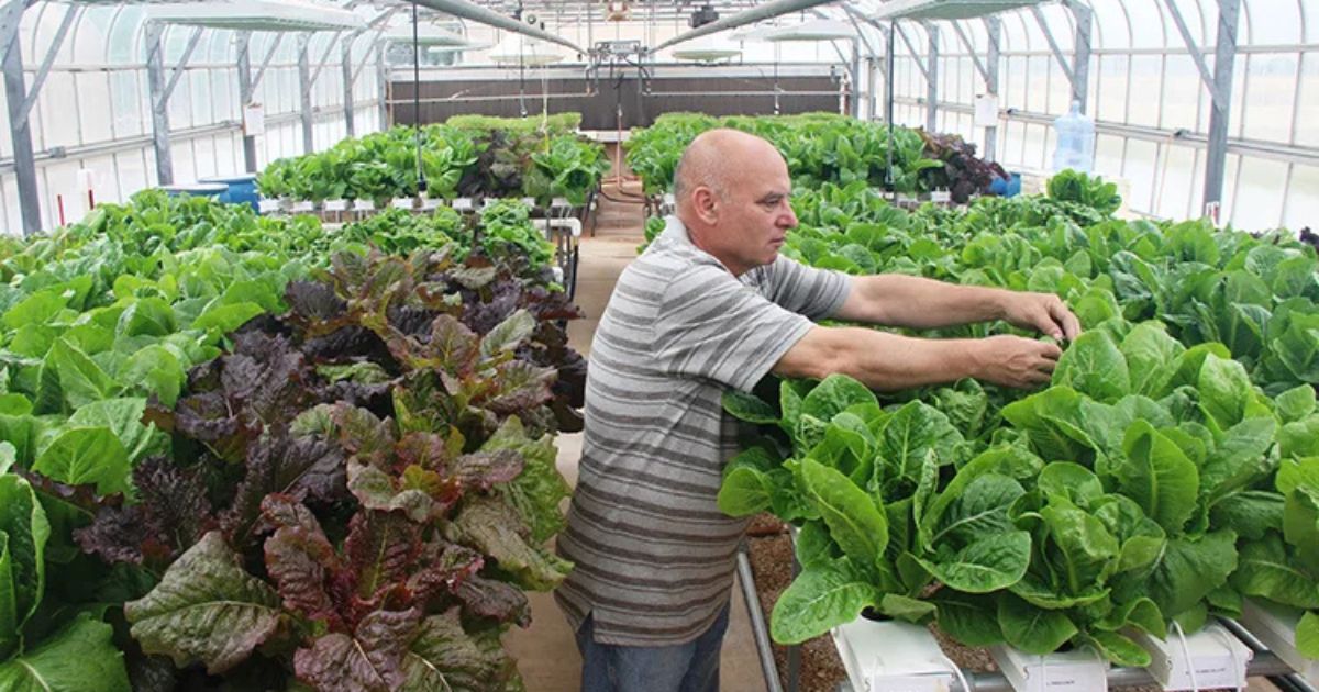 Effective Organic Farming Methods For Sustainable Growth