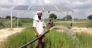 Saltwater Farming: The Future Of Coastal Agriculture