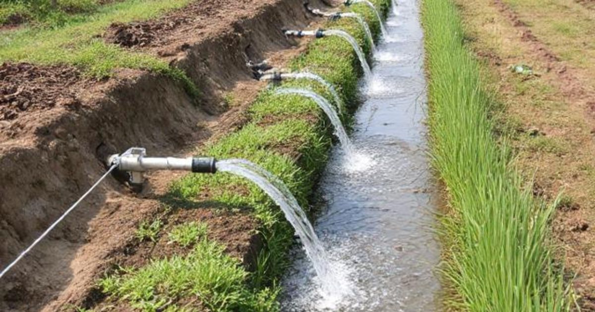 Sustainable Irrigation: Smart Water Management for a Greener Future