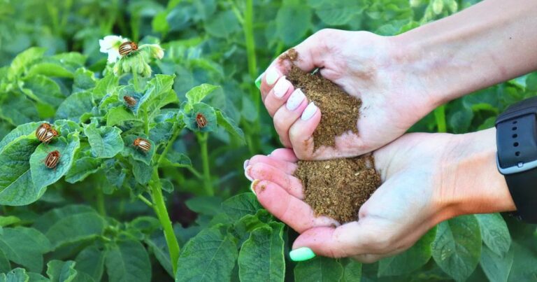 Living The Land: A Look At Subsistence Farming Guide