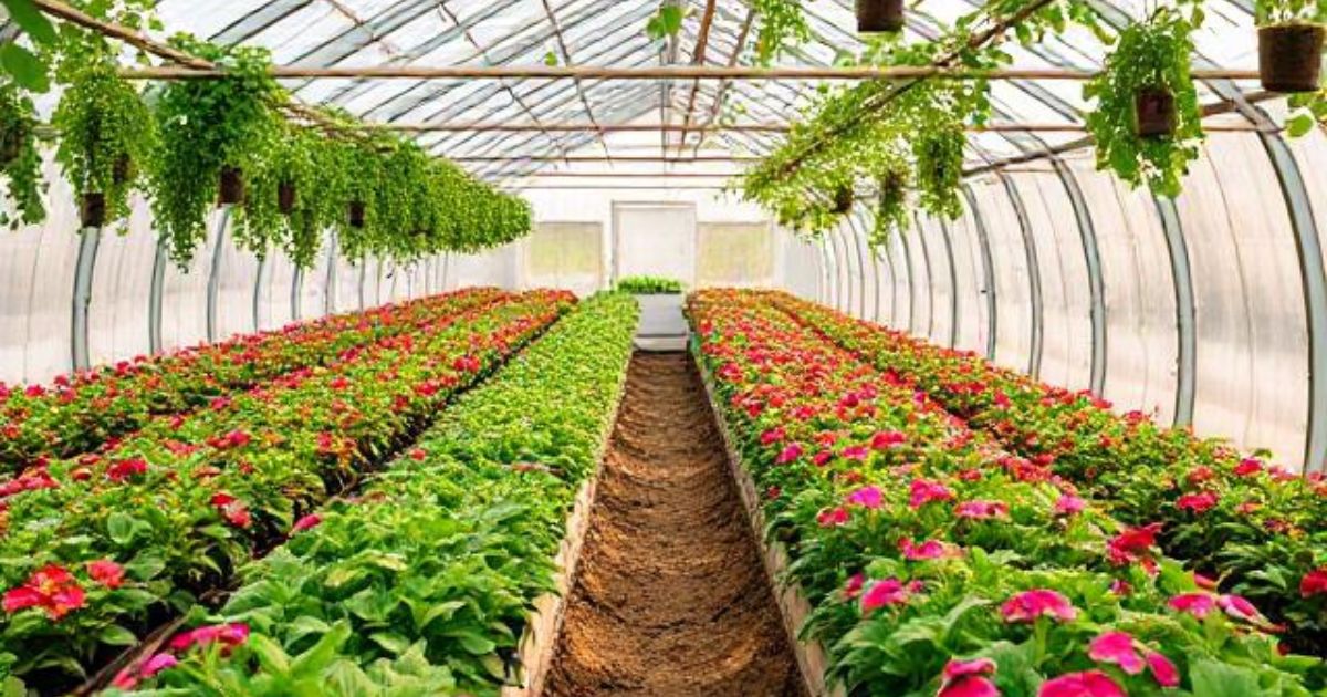Is Green House Farming Profitable A Comprehensive Guide