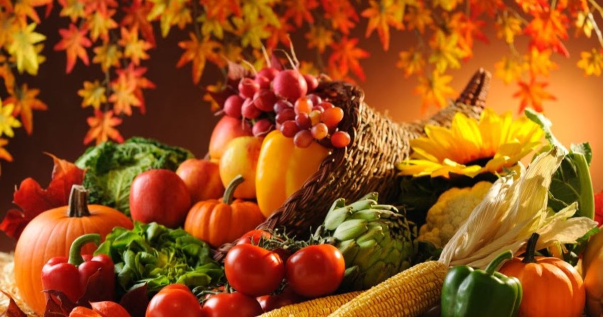 What Is The Autumn Harvesting? Seasonal Fall Crops, Vegetables, And ...