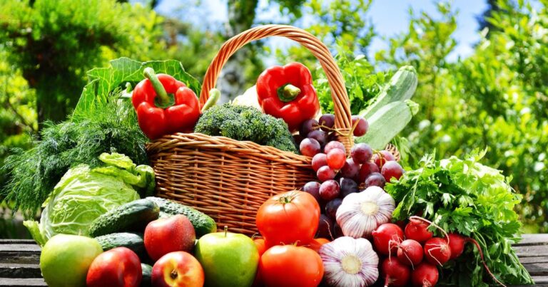 What Is The Autumn Harvesting? Seasonal Fall Crops, Vegetables, And ...