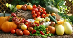 What Is The Autumn Harvesting? Seasonal Fall Crops, Vegetables, And ...