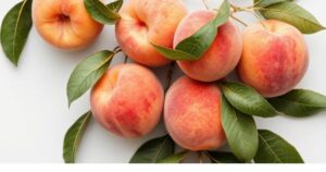 Types of Peaches: A Comprehensive Guide to This Juicy Fruit
