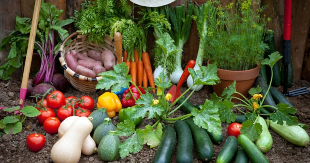 15 Best Vegetables To Plant in Spring: A Comparative Guide