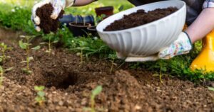 Manure And Compost: Natural Boost For Healthy Soil