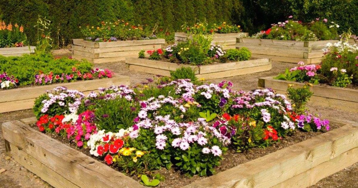 Flower Beds: Colorful Ideas For Every Garden