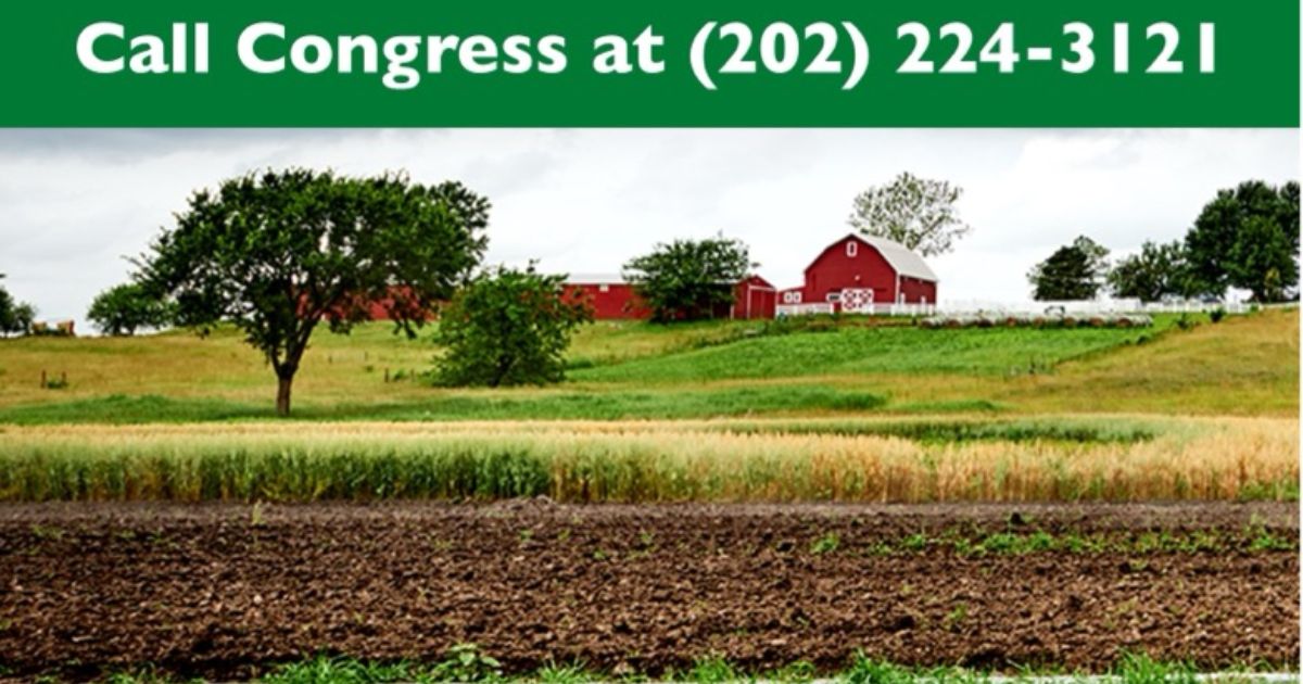 The 2025 Farm Bill Explained: Key Changes and Impacts - Agriculture Growing
