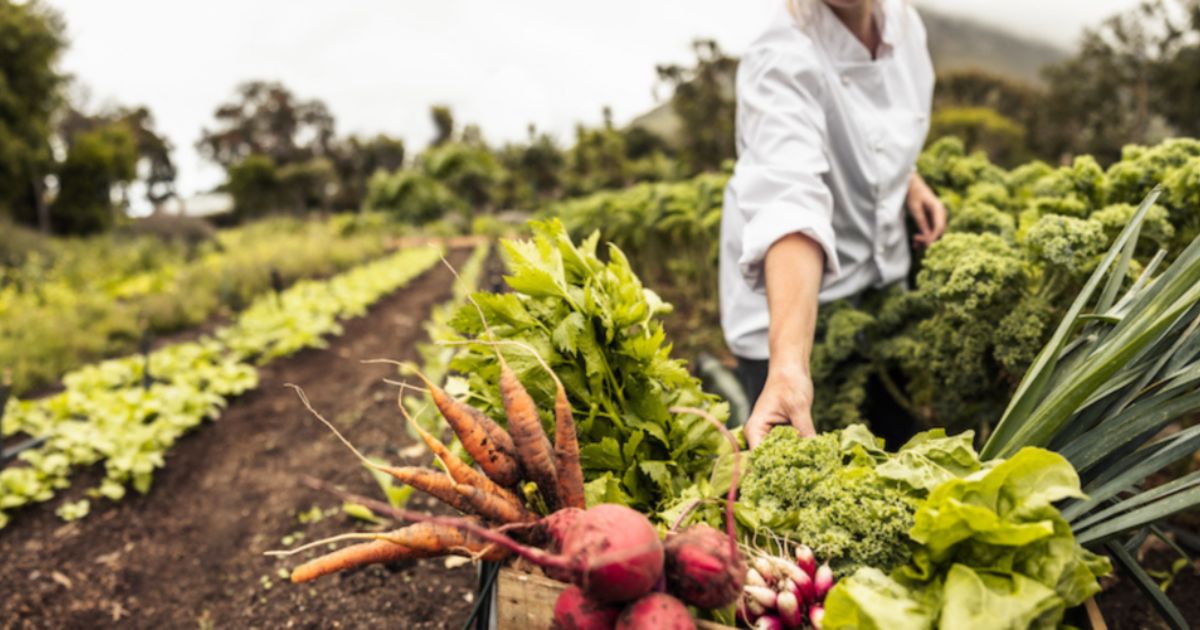 What Is the Top Agriculture Crop in Florida?