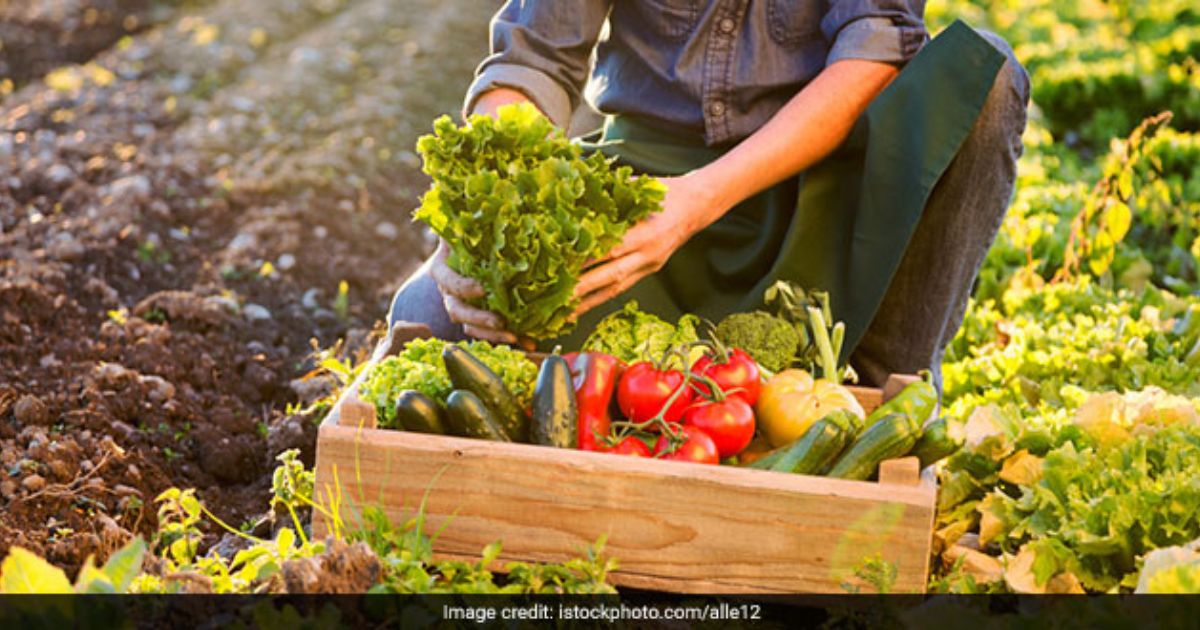 What Is the Top Agriculture Crop in Florida?