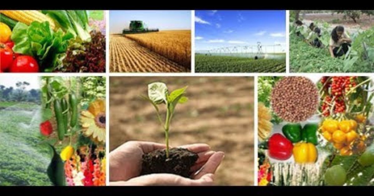 Horticulture vs Agriculture: Key Differences Explained