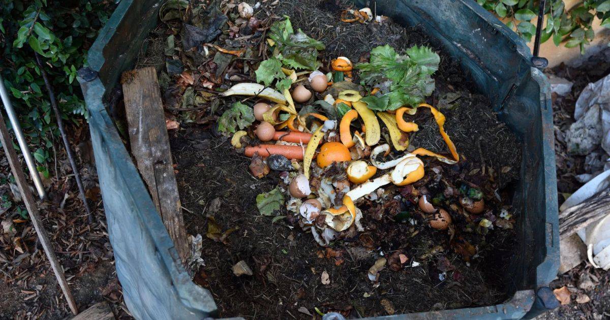 How To Composting Basics - Agriculture Growing